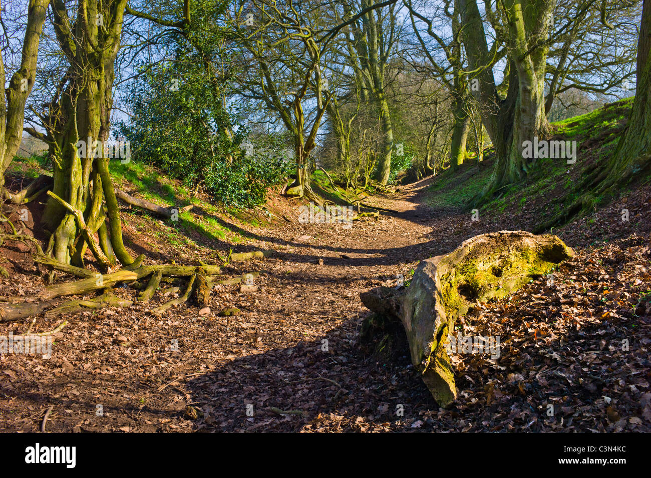 A sunken lane or hollow way / holloway near Kenilworth castle Stock ...
