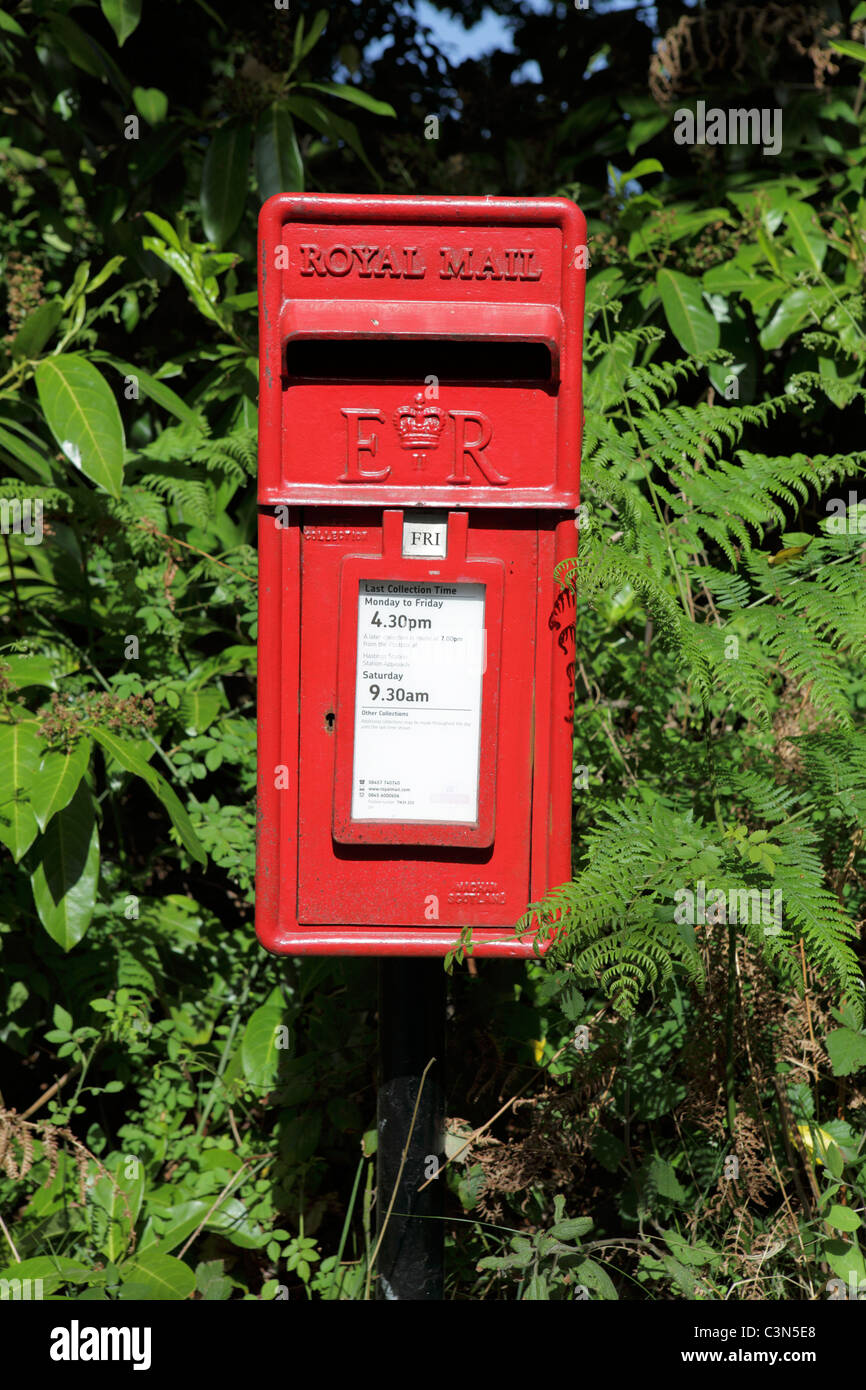 Rural post box, East Sussex, England, Britain, UK, GB Stock Photo - Alamy