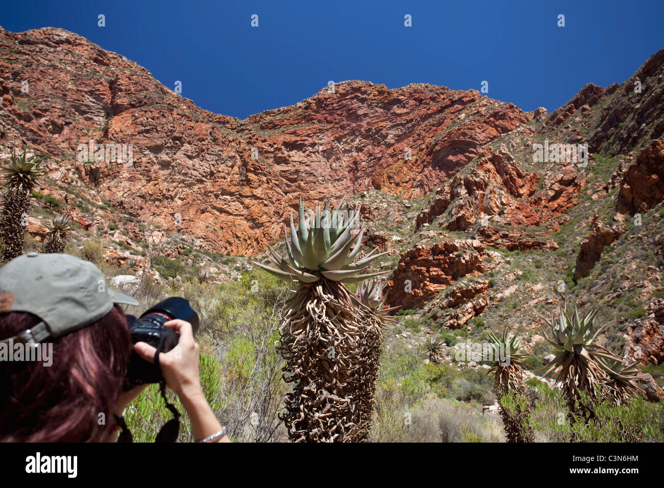 South Africa, Western Cape, Prince Albert, Swartberg Pass. Woman, hiker ...