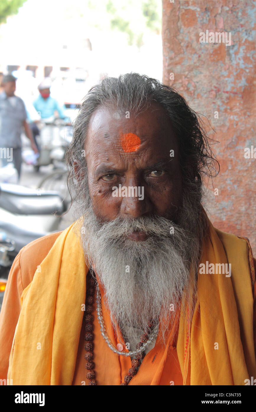 Hindu holy man Stock Photo - Alamy
