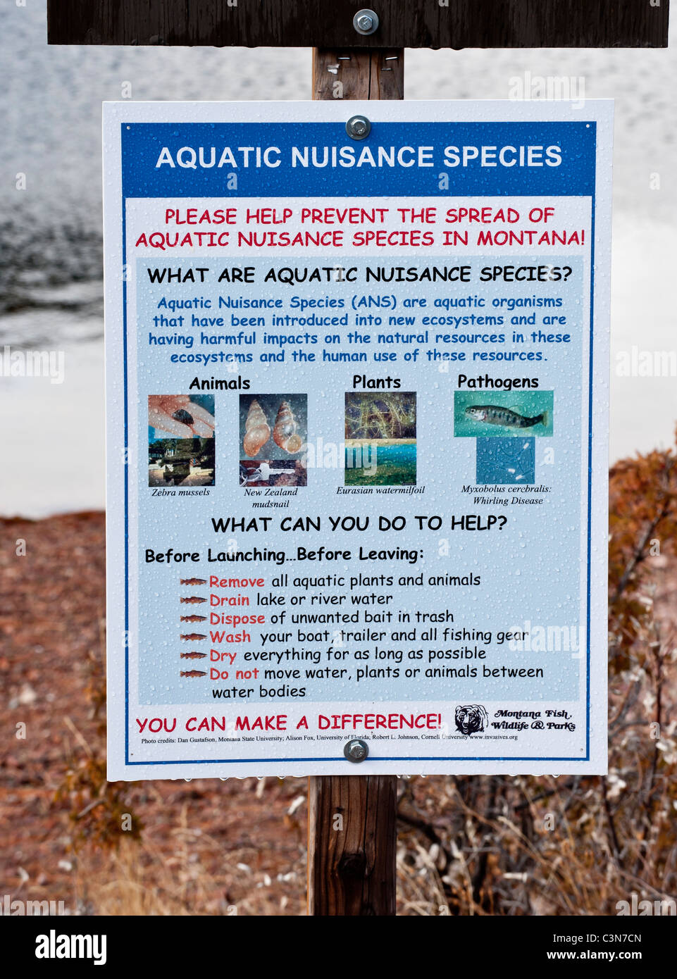 Aquatic nuisance species hi-res stock photography and images - Alamy