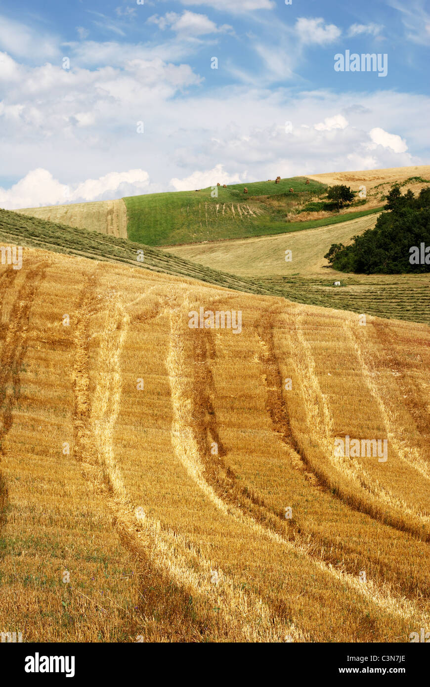 Cut straw lines hi-res stock photography and images - Alamy