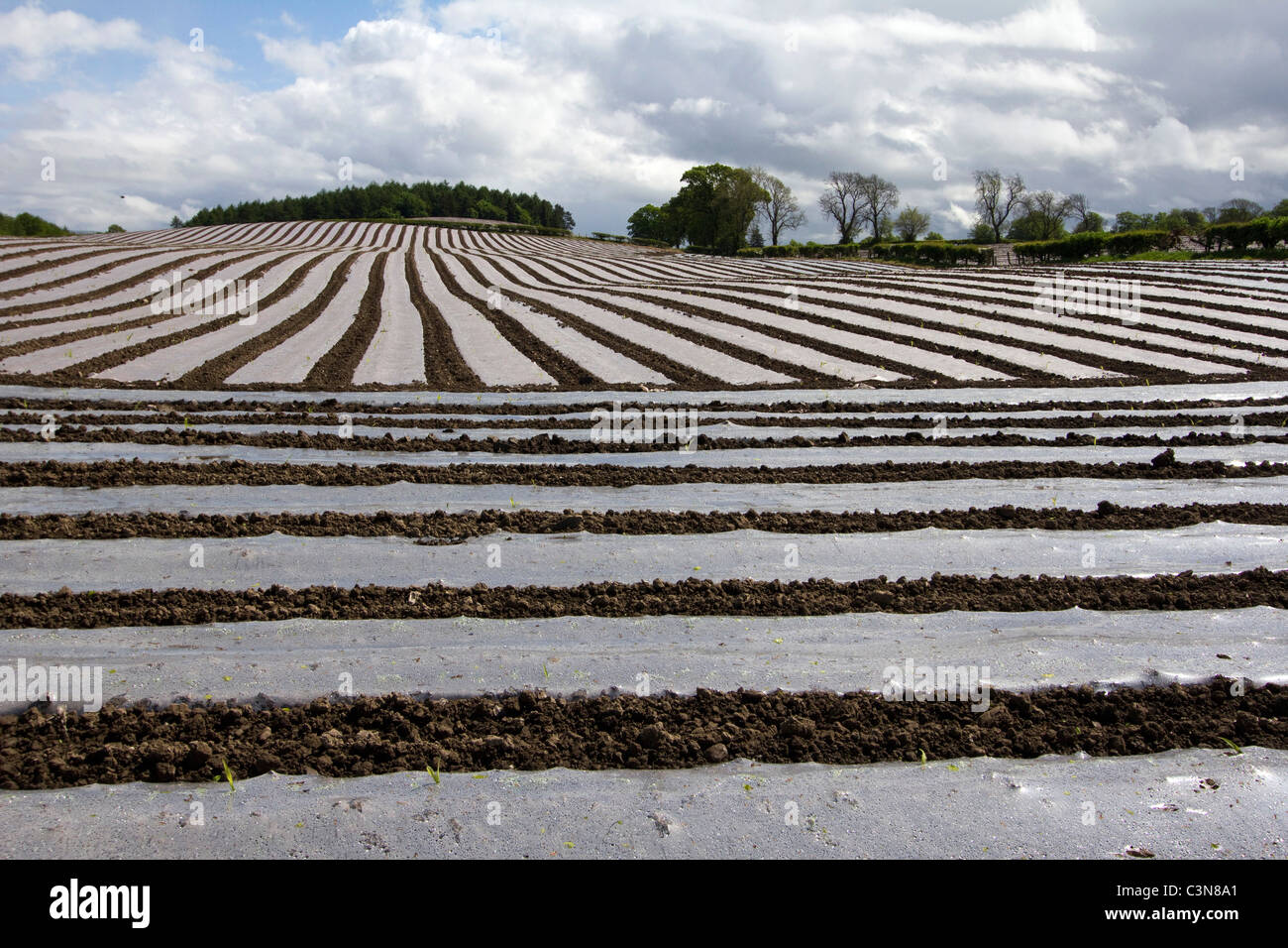 Pictures over the lines hi-res stock photography and images - Alamy