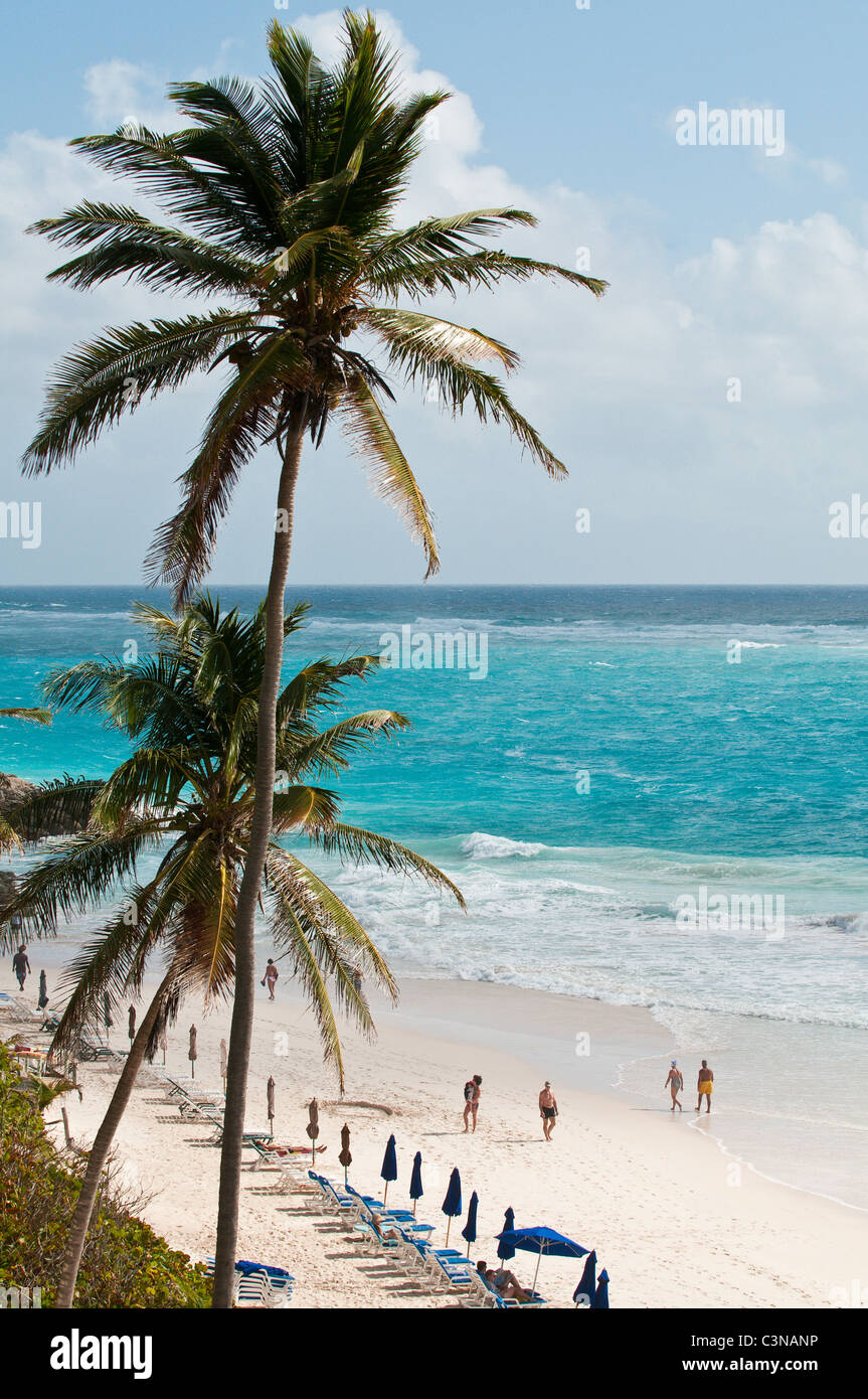 Crane Beach at Crane Beach Resort Barbados, Caribbean Stock Photo - Alamy