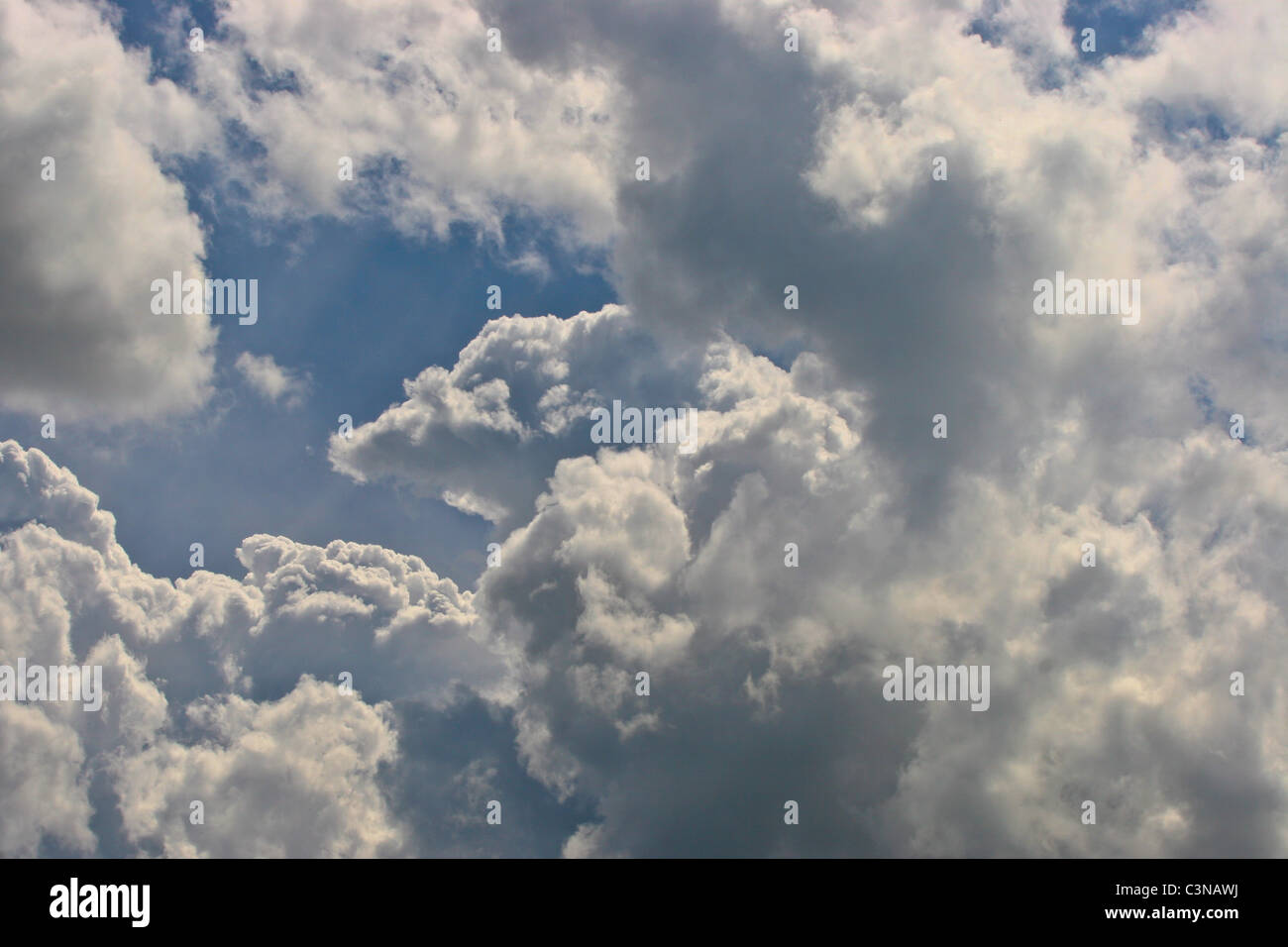 Cumulus mediocris clouds developing into Cumulus congestus stage Stock ...