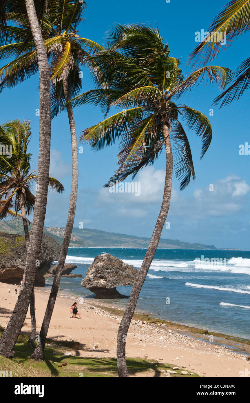 Bathsheba Beach Barbados, Caribbean Stock Photo - Alamy
