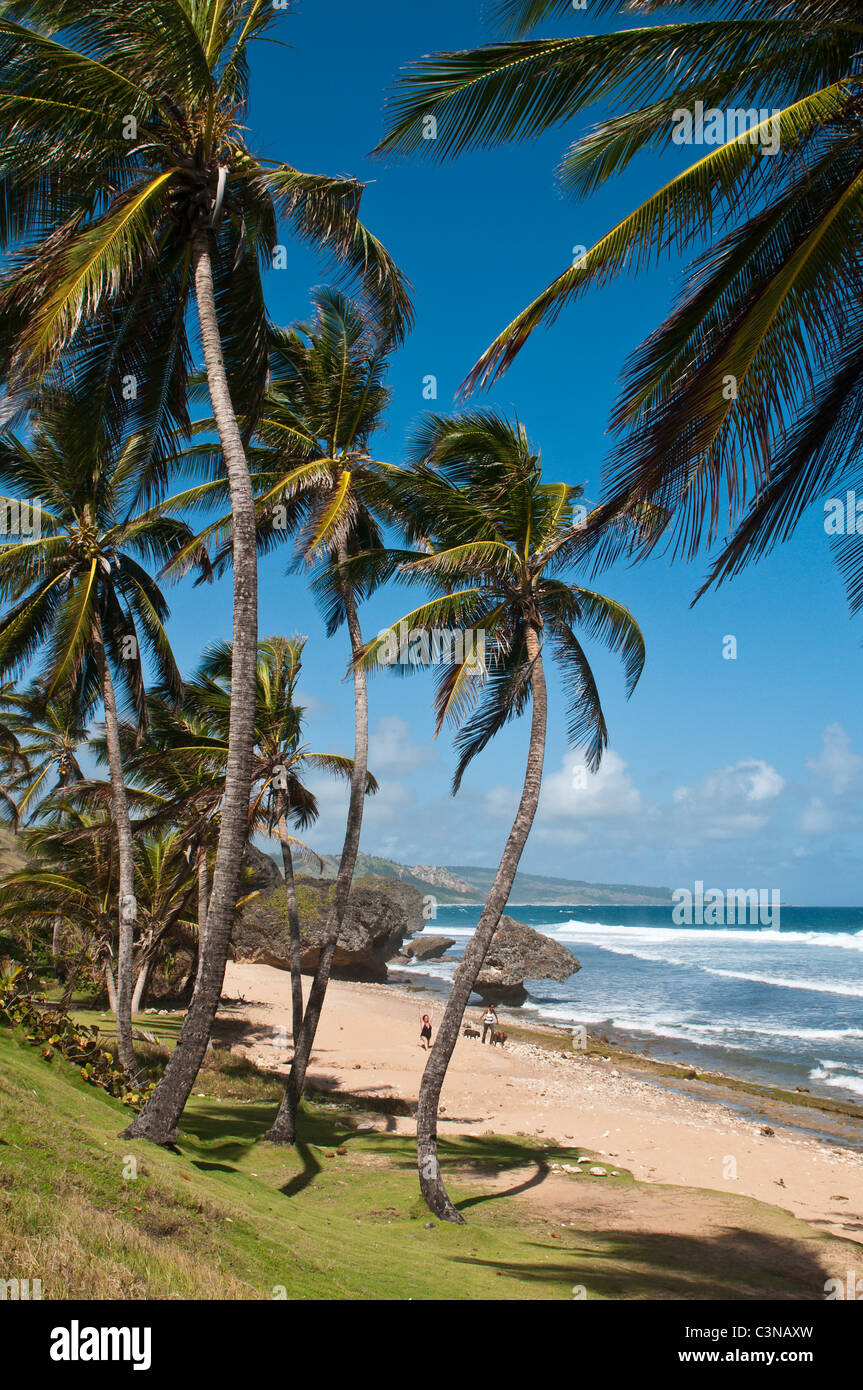 Bathsheba Beach Barbados, Caribbean Stock Photo - Alamy