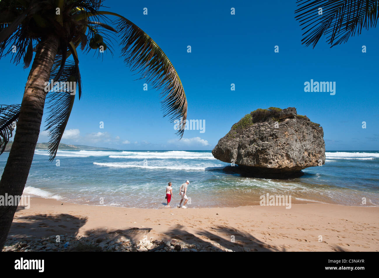 Bathsheba Beach Barbados, Caribbean Stock Photo - Alamy