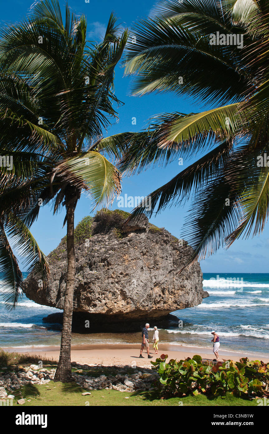 Bathsheba Beach Barbados, Caribbean Stock Photo - Alamy