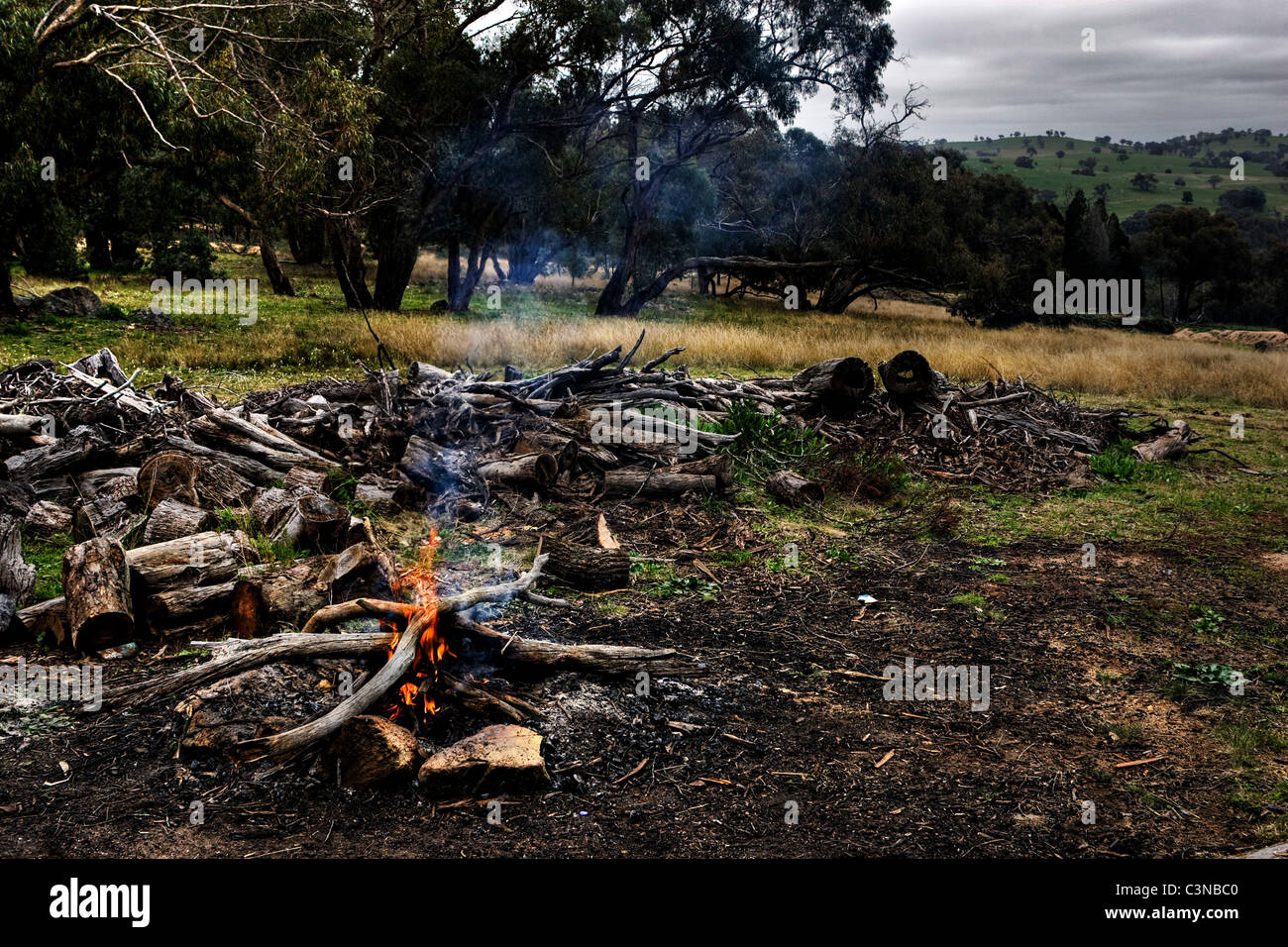 Australian bushland hi-res stock photography and images - Alamy