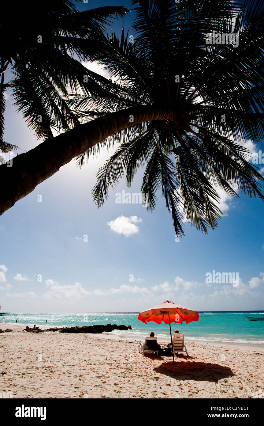 Palm tree and beach umbrellas on Carib Beach Barbados, Caribbean Stock ...