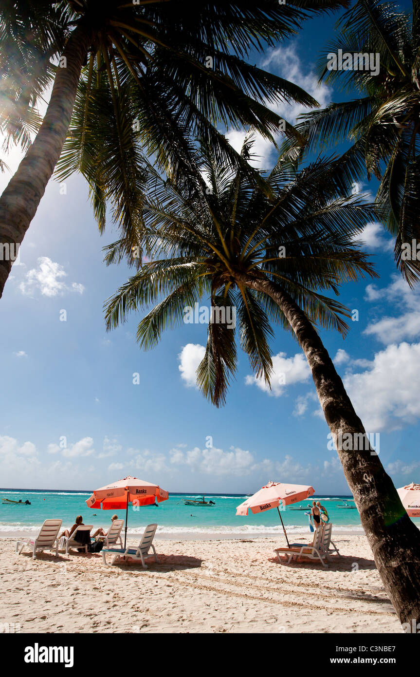 Palm tree and beach umbrellas on Carib Beach Barbados, Caribbean Stock ...