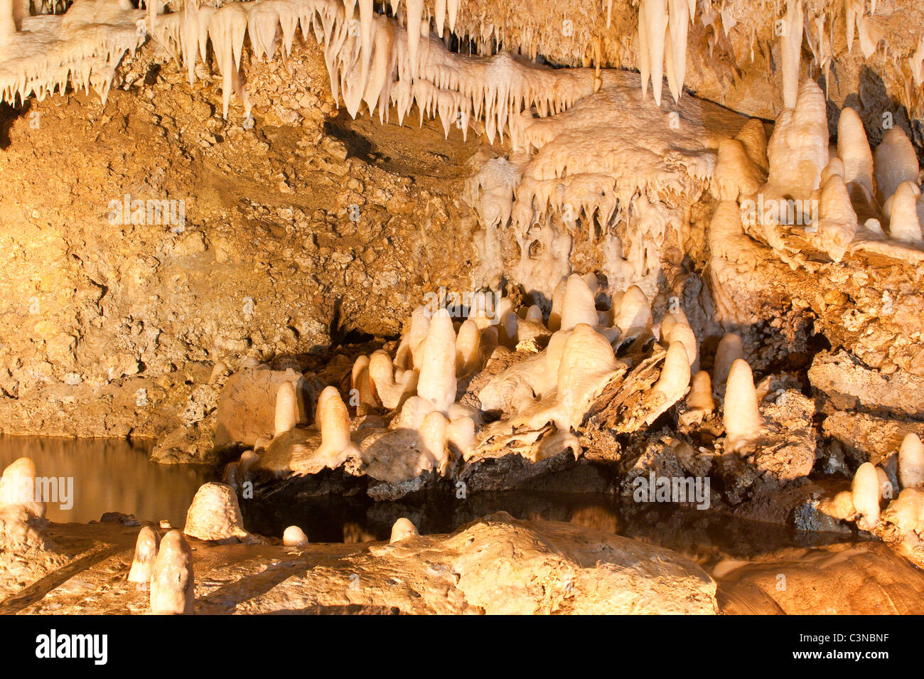 Harrison's Cave Barbados, Caribbean Stock Photo - Alamy