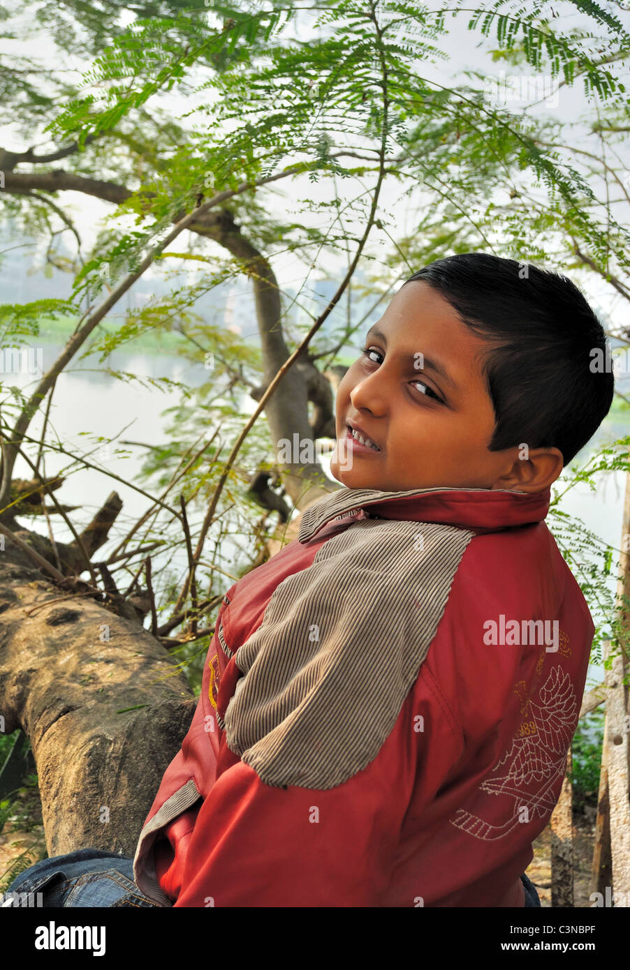 Happy Asian, Bengali boy on a tree Stock Photo - Alamy