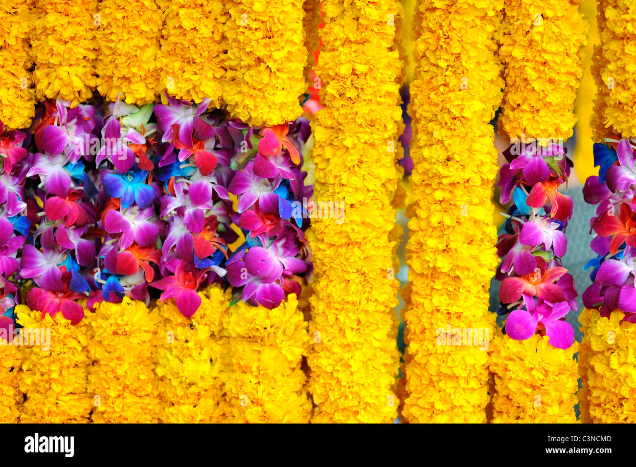 Marigold flower garland hi-res stock photography and images - Alamy