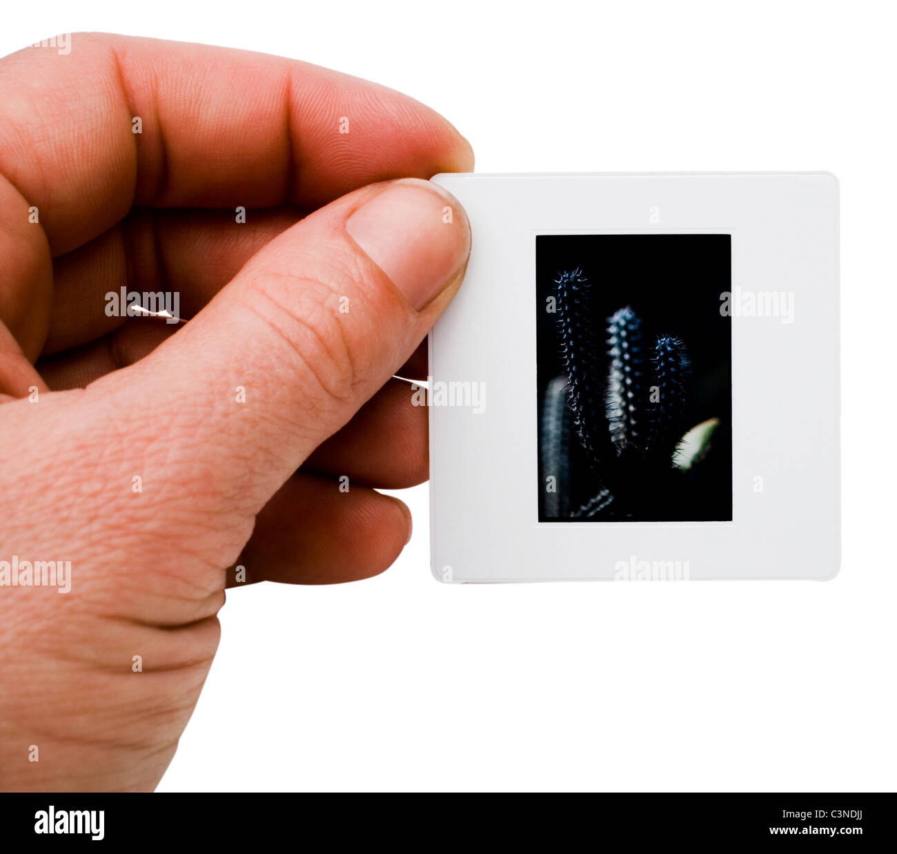 Person's hand holding a slide isolated over white Stock Photo - Alamy