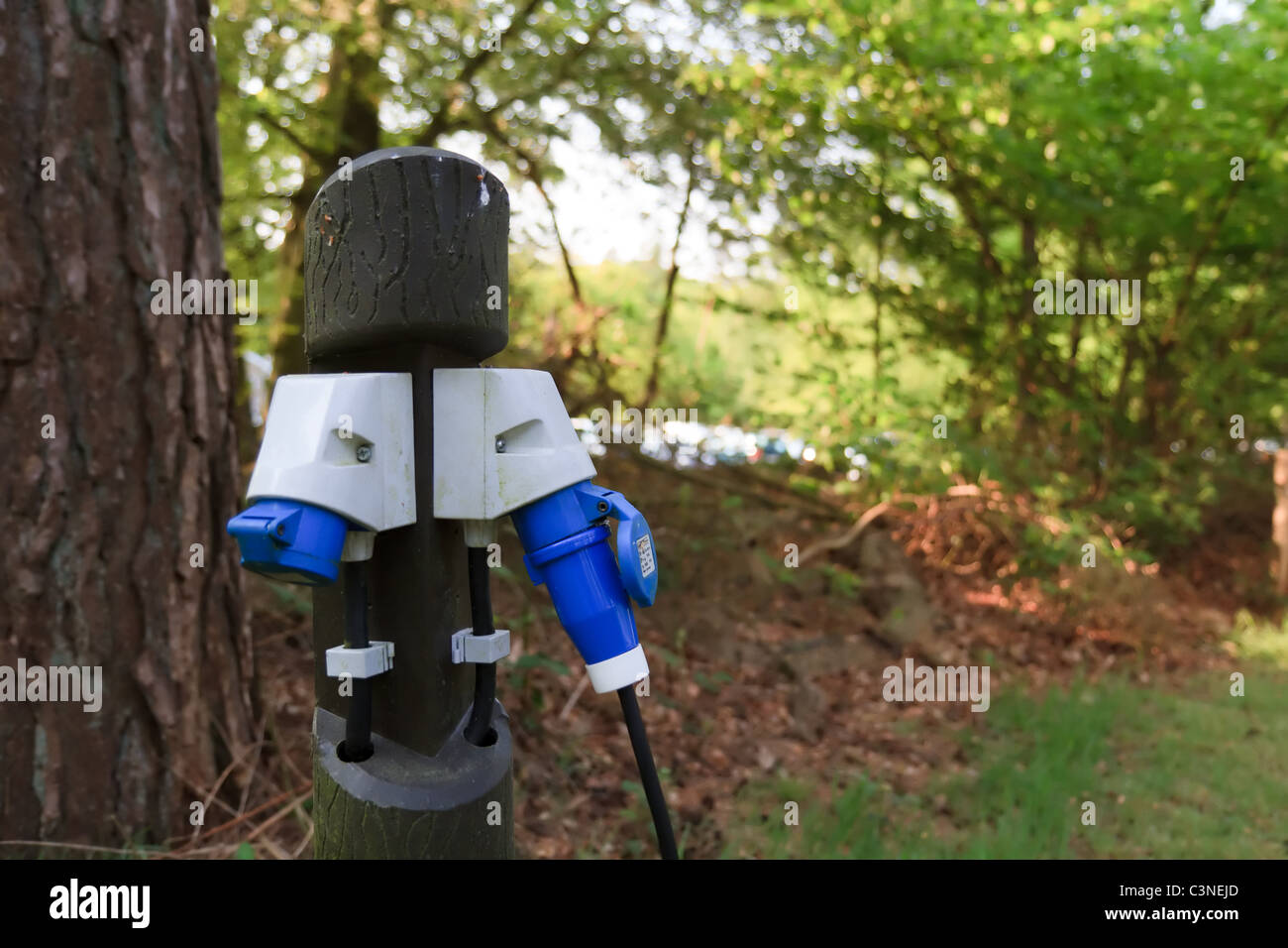 Pole with power plugs for electricity connection on camp site Stock ...