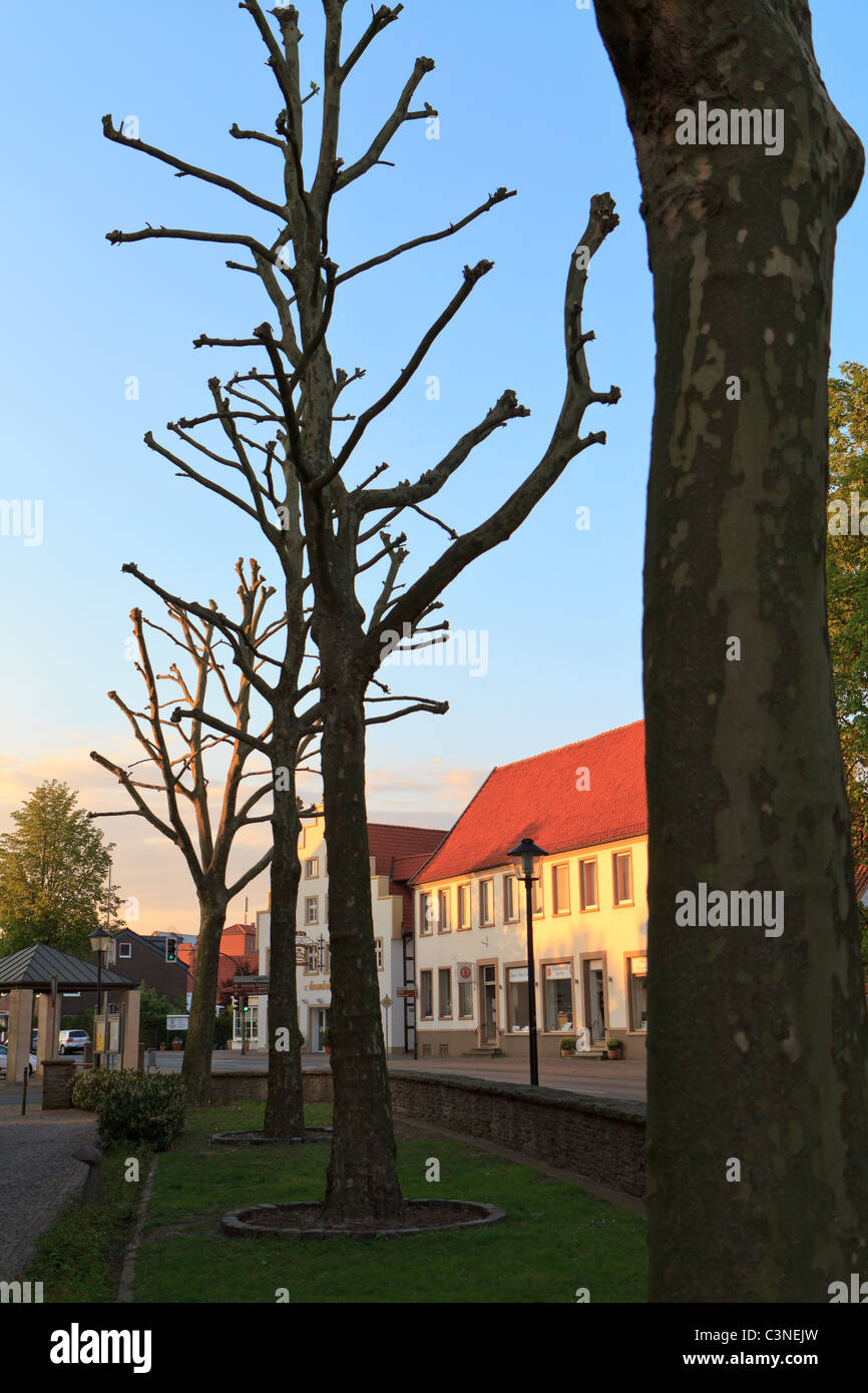 Sassenberg hi-res stock photography and images - Alamy