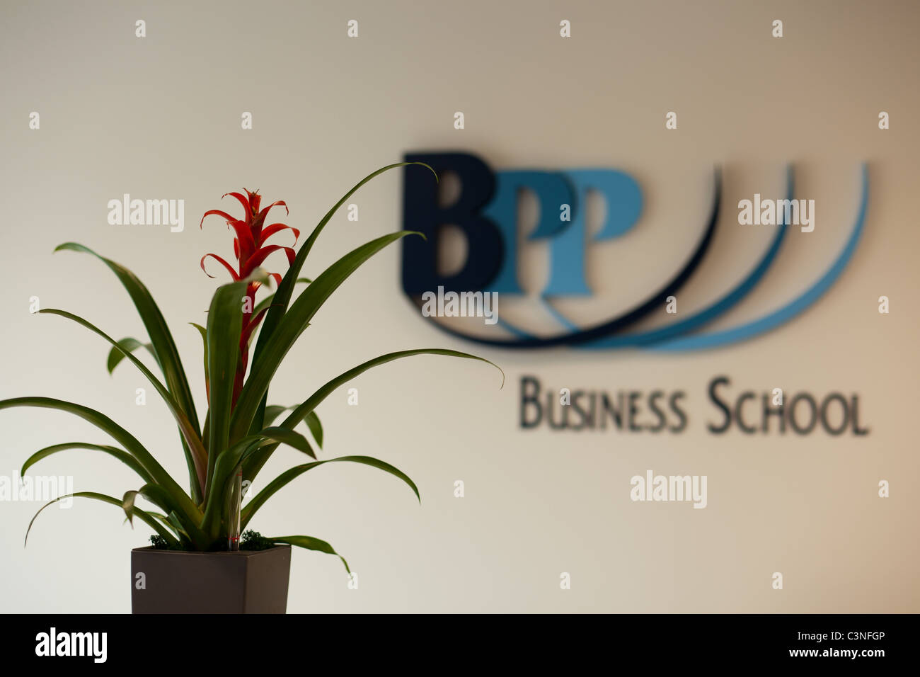 Bpp university hi-res stock photography and images - Alamy