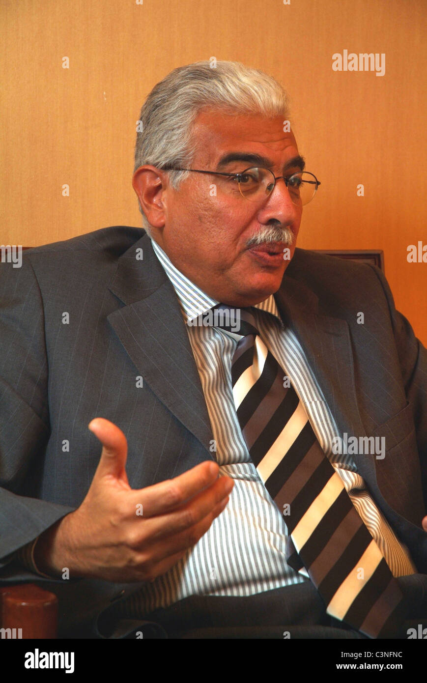 Egyptian Prime Minister Ahmed Nazif during an interview in Cairo Stock ...