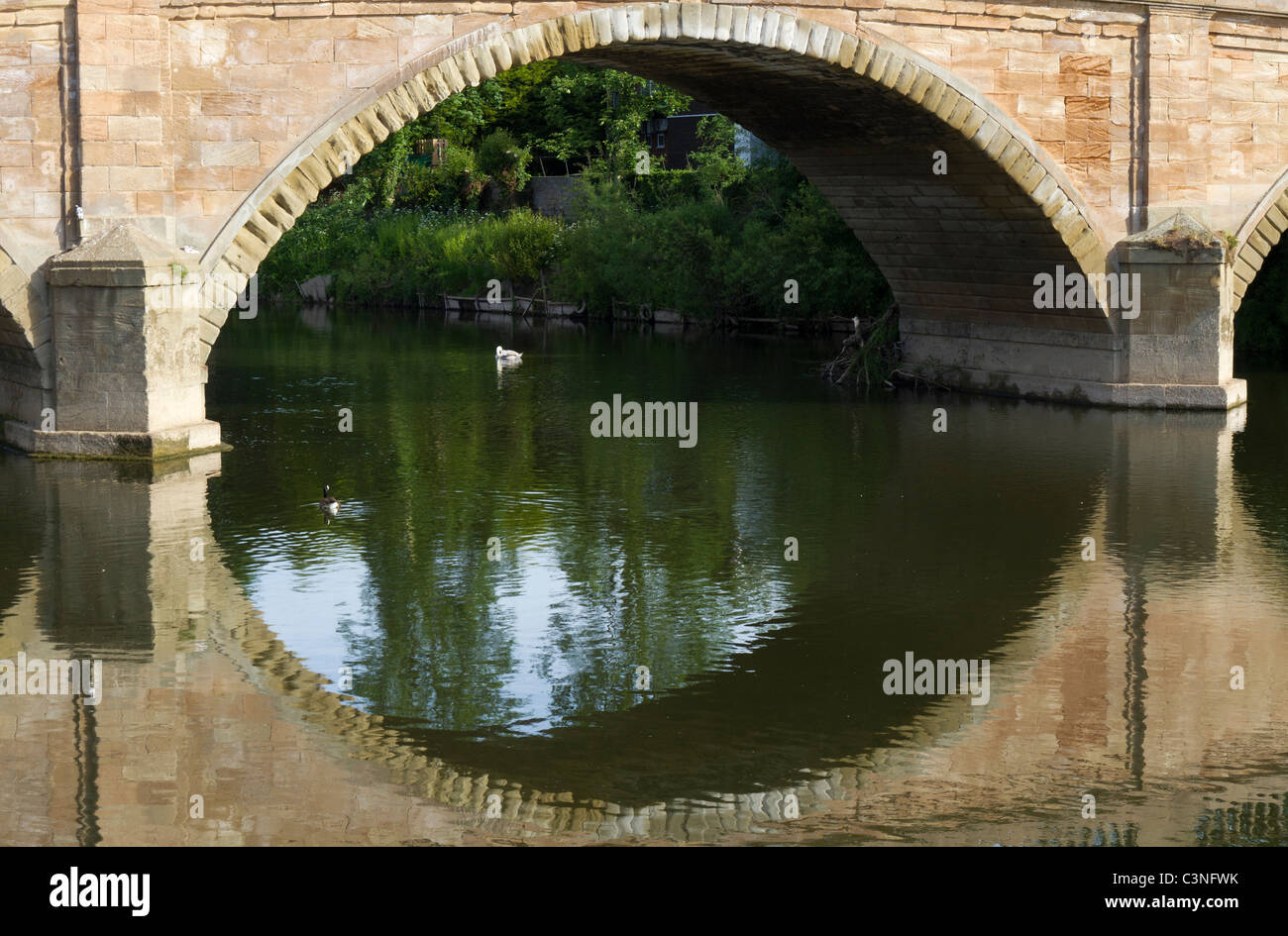 The arch of a bridge reflecting in water Stock Photo - Alamy