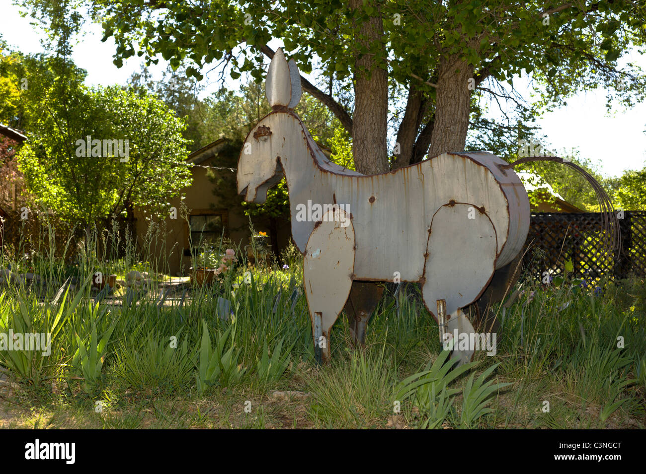Metal sculpture of a donkey stands under a shade tree on the Hondo Iris ...