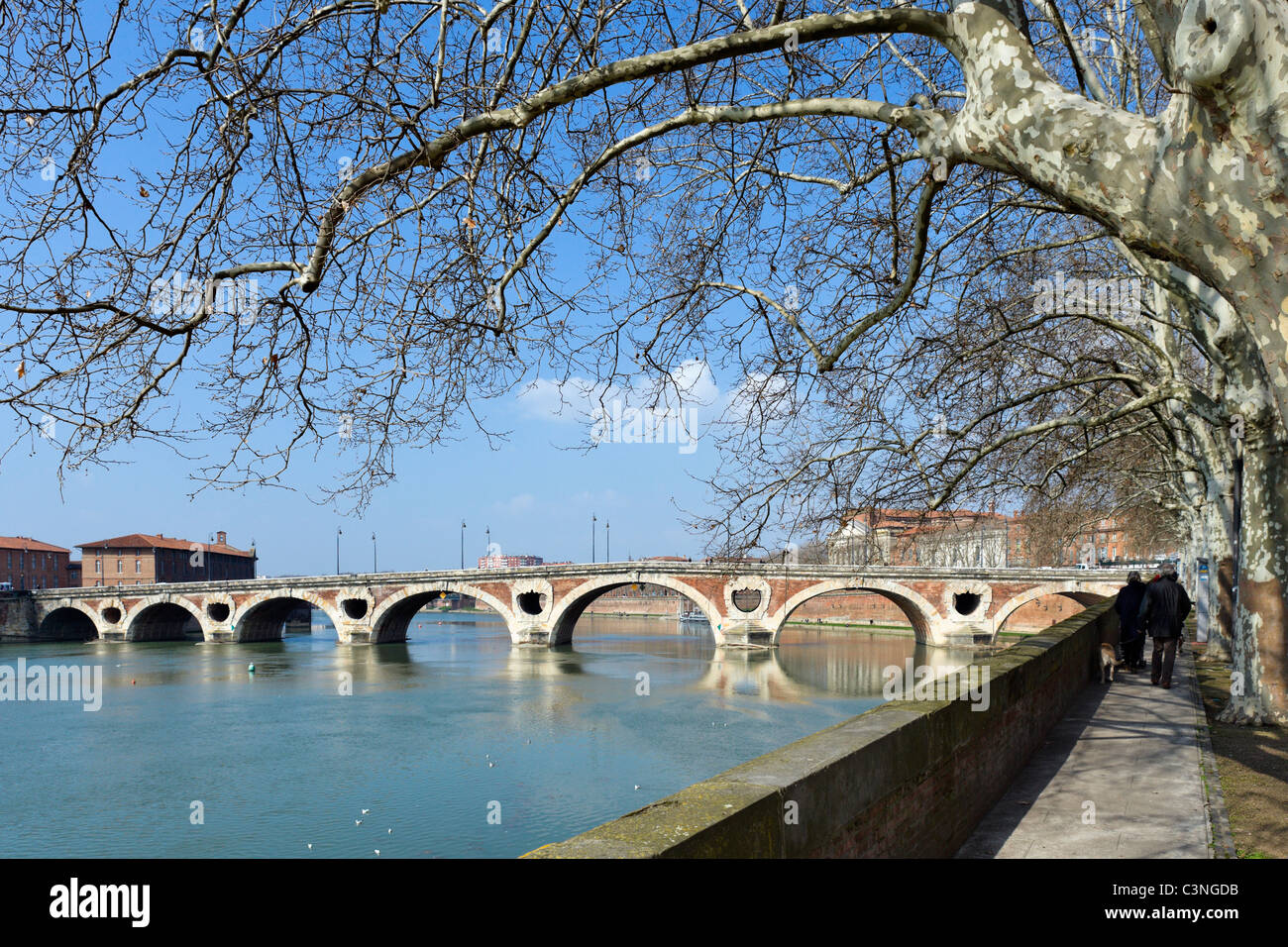 The banks of the River Garonne and the 16thC Pont Neuf bridge, Toulouse ...