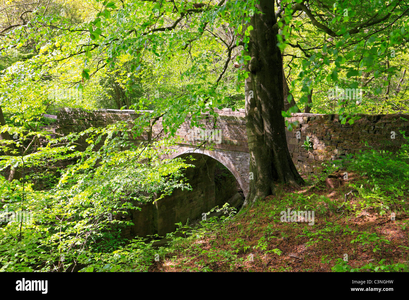 Horse Close Bridge in Judy Woods, Wyke, Bradford, West Yorkshire ...