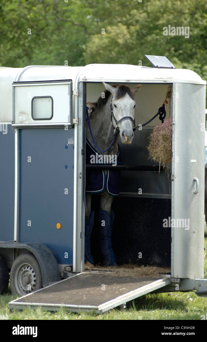Horsebox hi-res stock photography and images - Alamy
