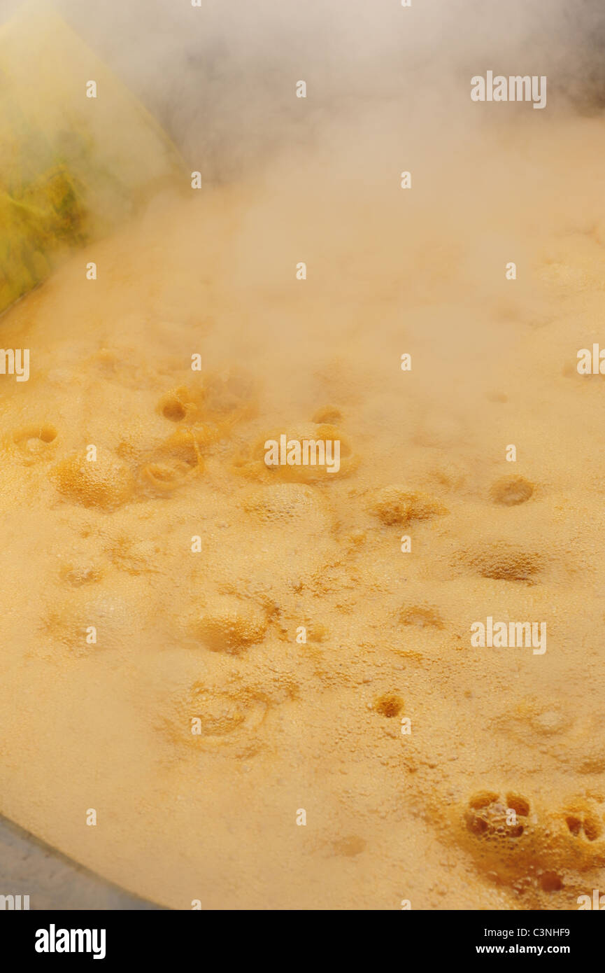 Africa Middle East Egypt molasses making using crushed sugar cane ...