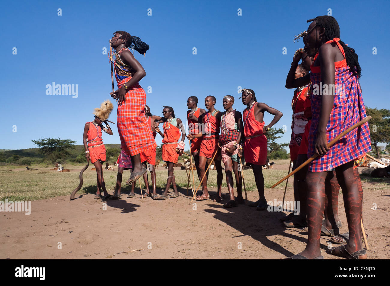 Masai warriors in traditional costume during a ritual Stock Photo - Alamy