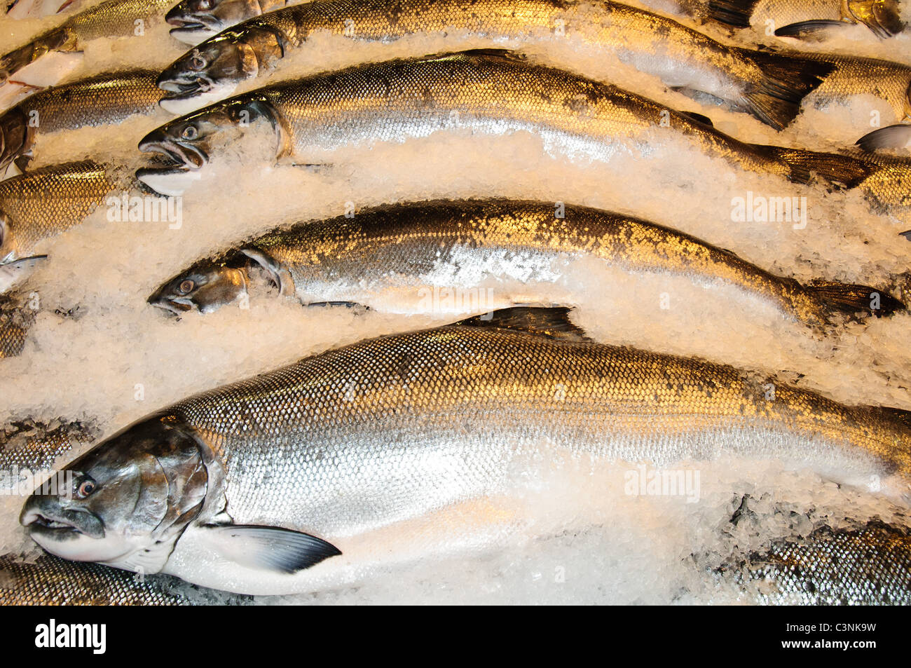 Fish market exhibition hi-res stock photography and images - Alamy