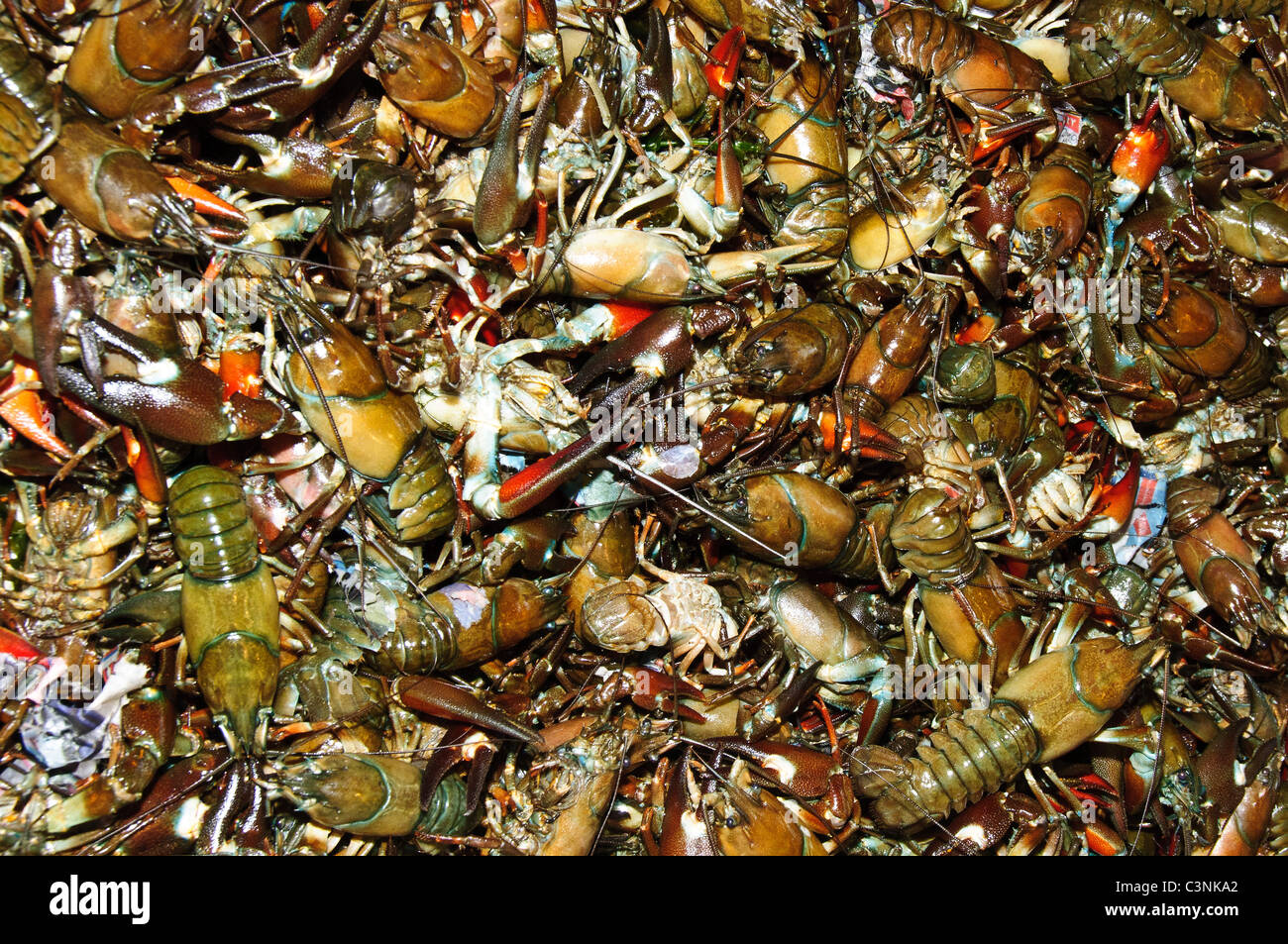 Fish Trader, Main Arcade, Pike Place Market, Seattle, Washington Stock ...