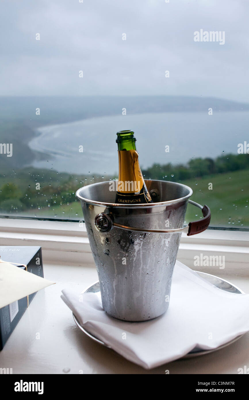 Wedding champagne bucket hi-res stock photography and images - Alamy