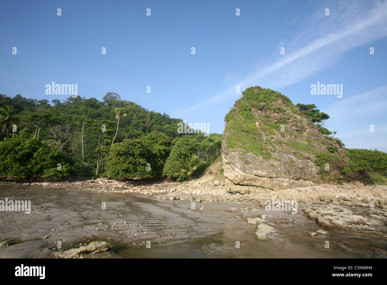 Edge of rain forest hi-res stock photography and images - Alamy