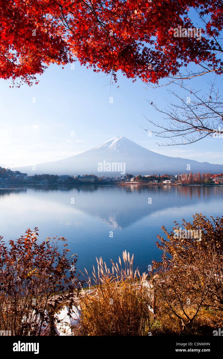 Mount Fuji in autumn season, Kawaguchi, Japan Stock Photo - Alamy