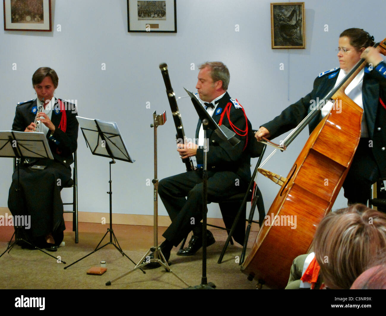 Paris, France, Live Chamber Music Performance in "Musee de la ...
