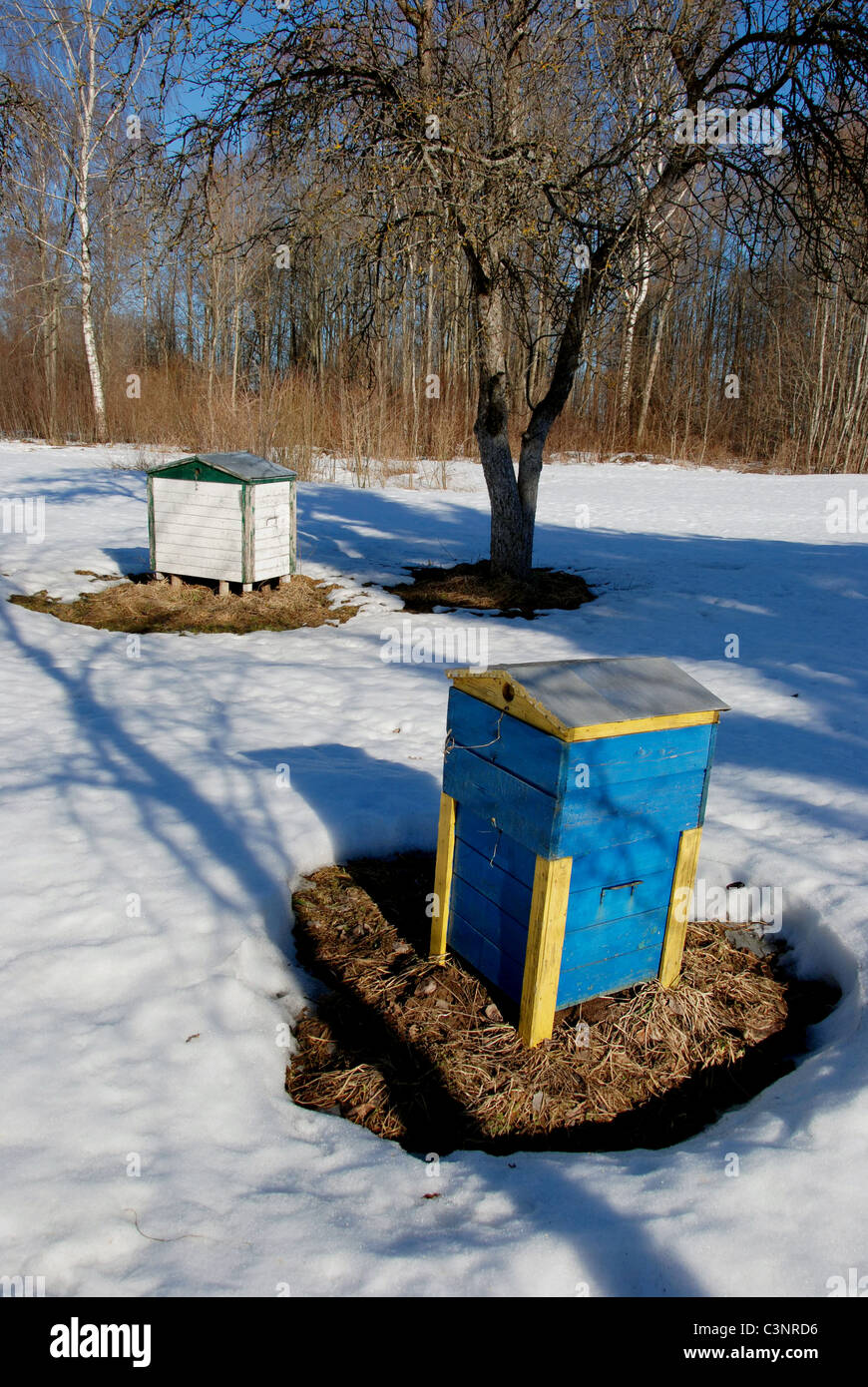 Bee hives in early spring when snow is melting Stock Photo - Alamy