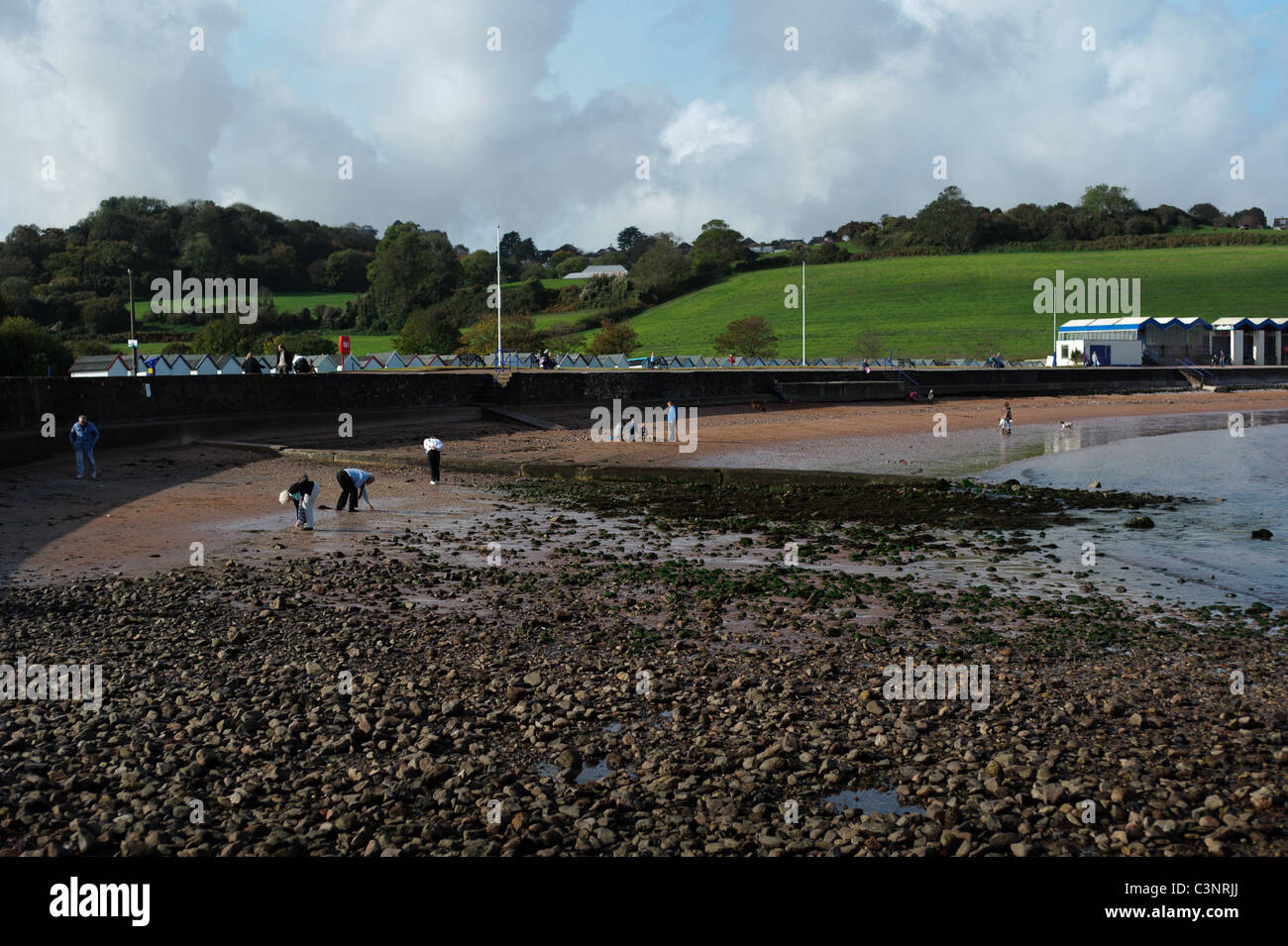 Broadsands Beach in Torbay, Devon Stock Photo - Alamy