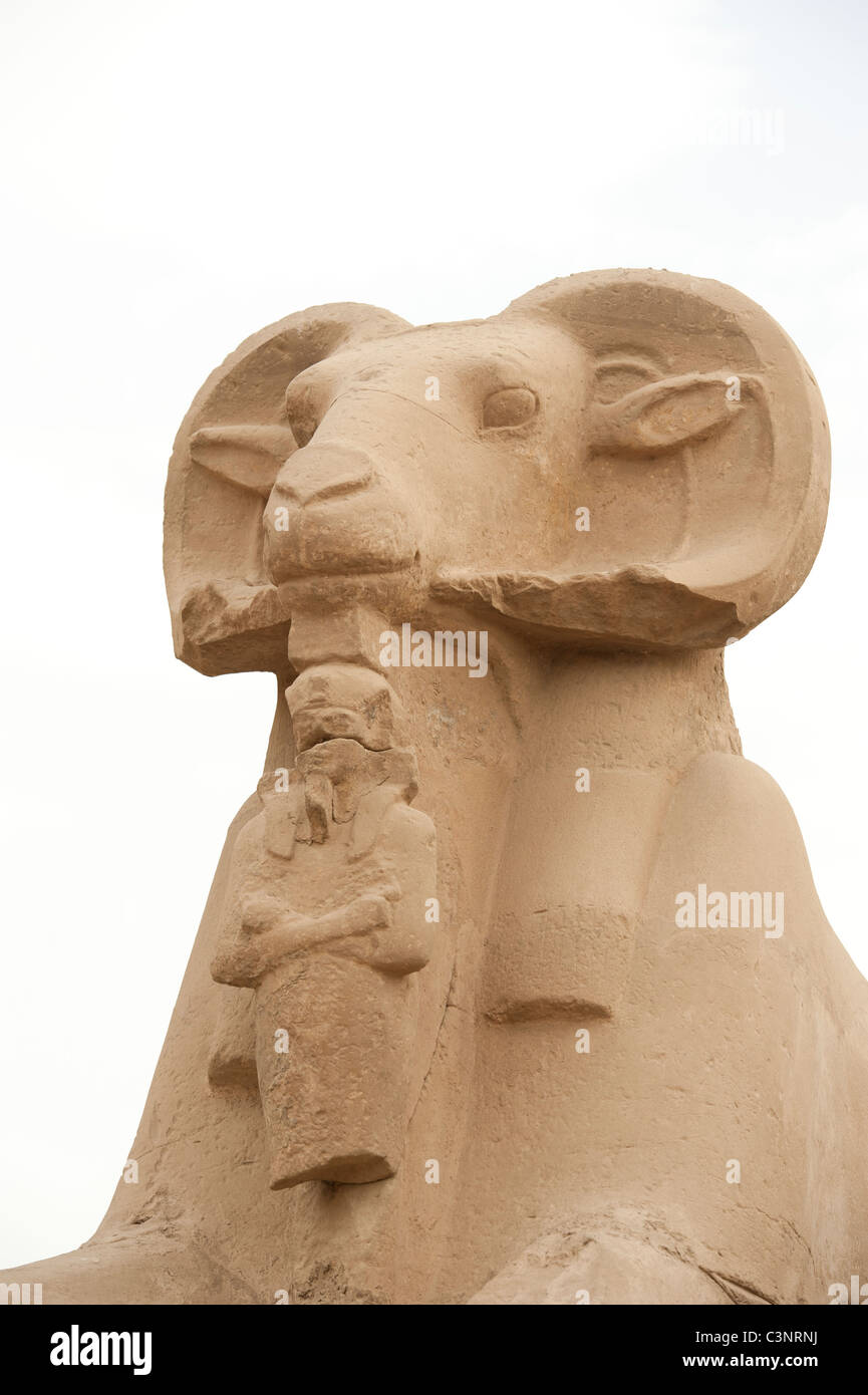 Ram headed sphinx at Karnak Temple in Luxor isolated on white Stock ...