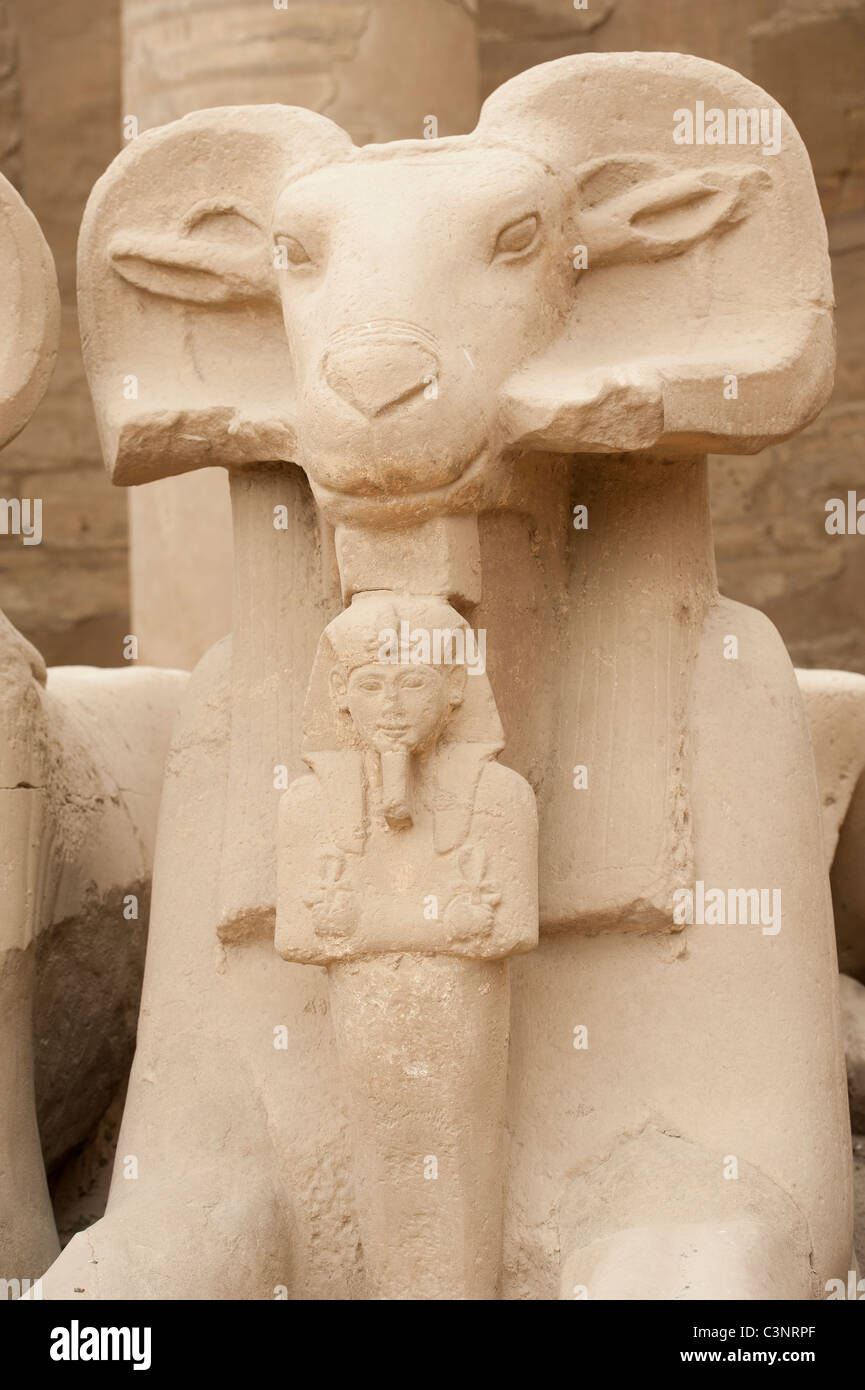Ram headed sphinx at Karnak Temple in Luxor Stock Photo - Alamy