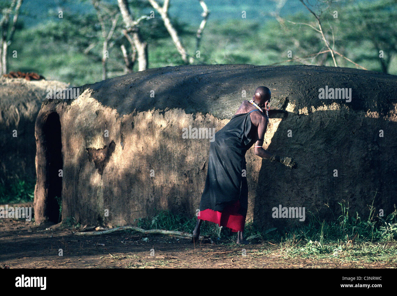 Maasai woman coating the roof of her house with cow dung in her village ...