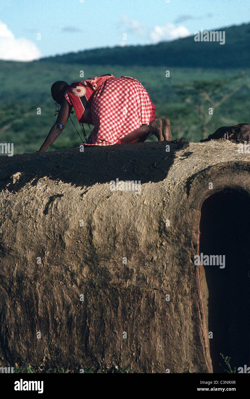 Maasai woman coating the roof of her house with cow dung in her village ...