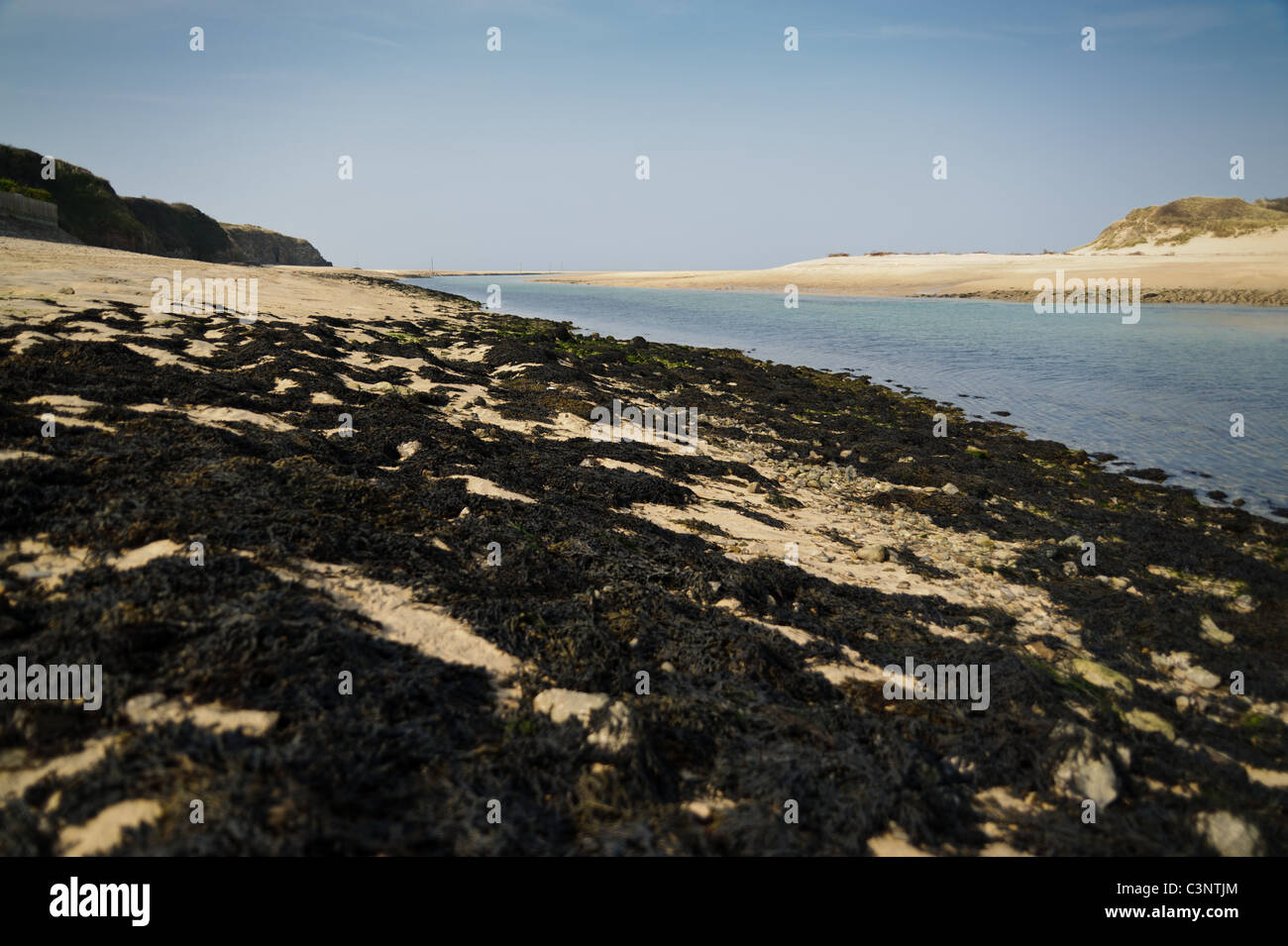 Hayle estuary at Porthkidney Beach, Lelant, Cornwall Stock Photo - Alamy