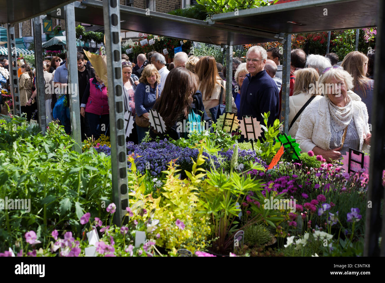 Crowds walk past fresh plants in Columbia Street flower market, in ...