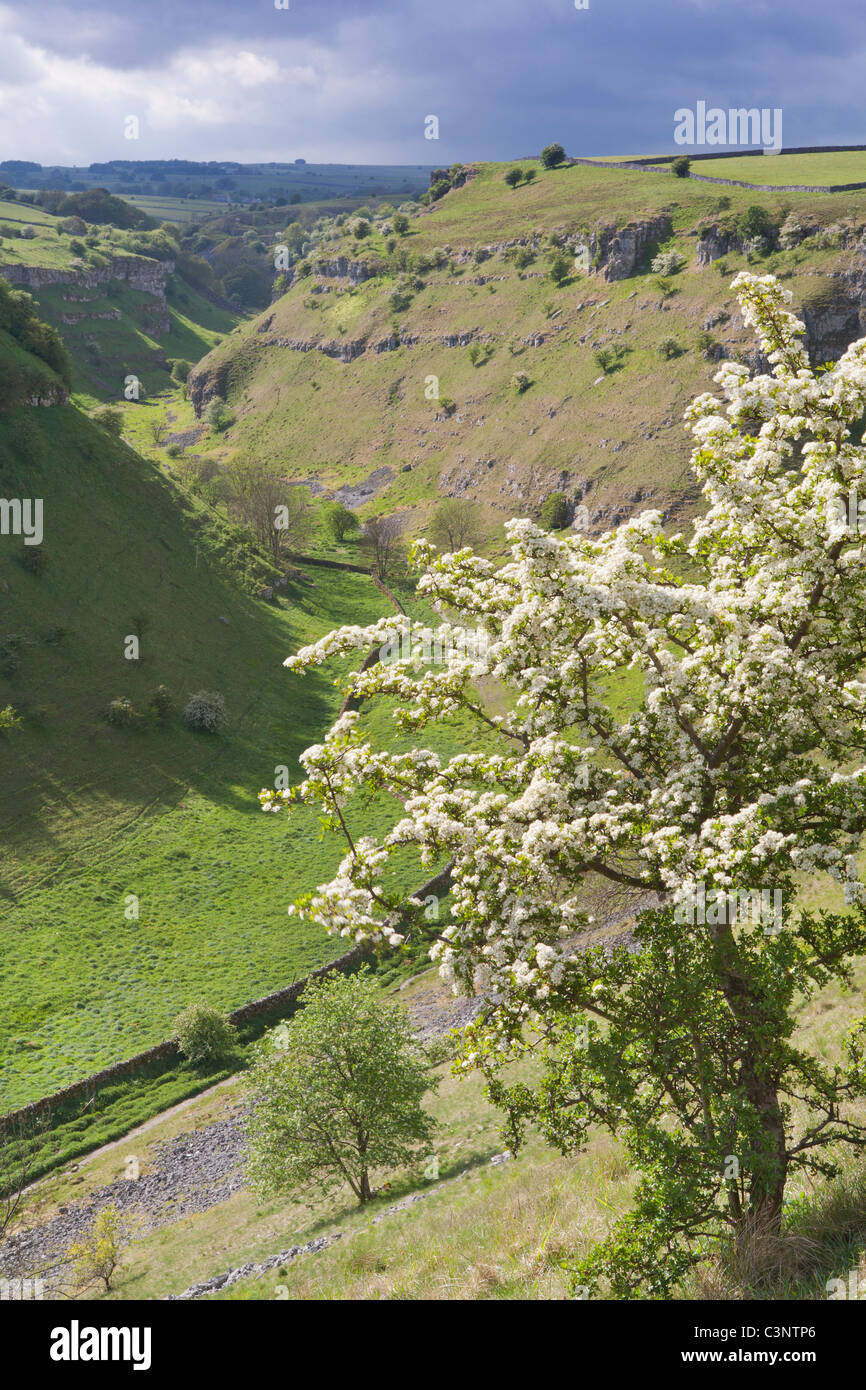 Lathkill dale hi-res stock photography and images - Alamy