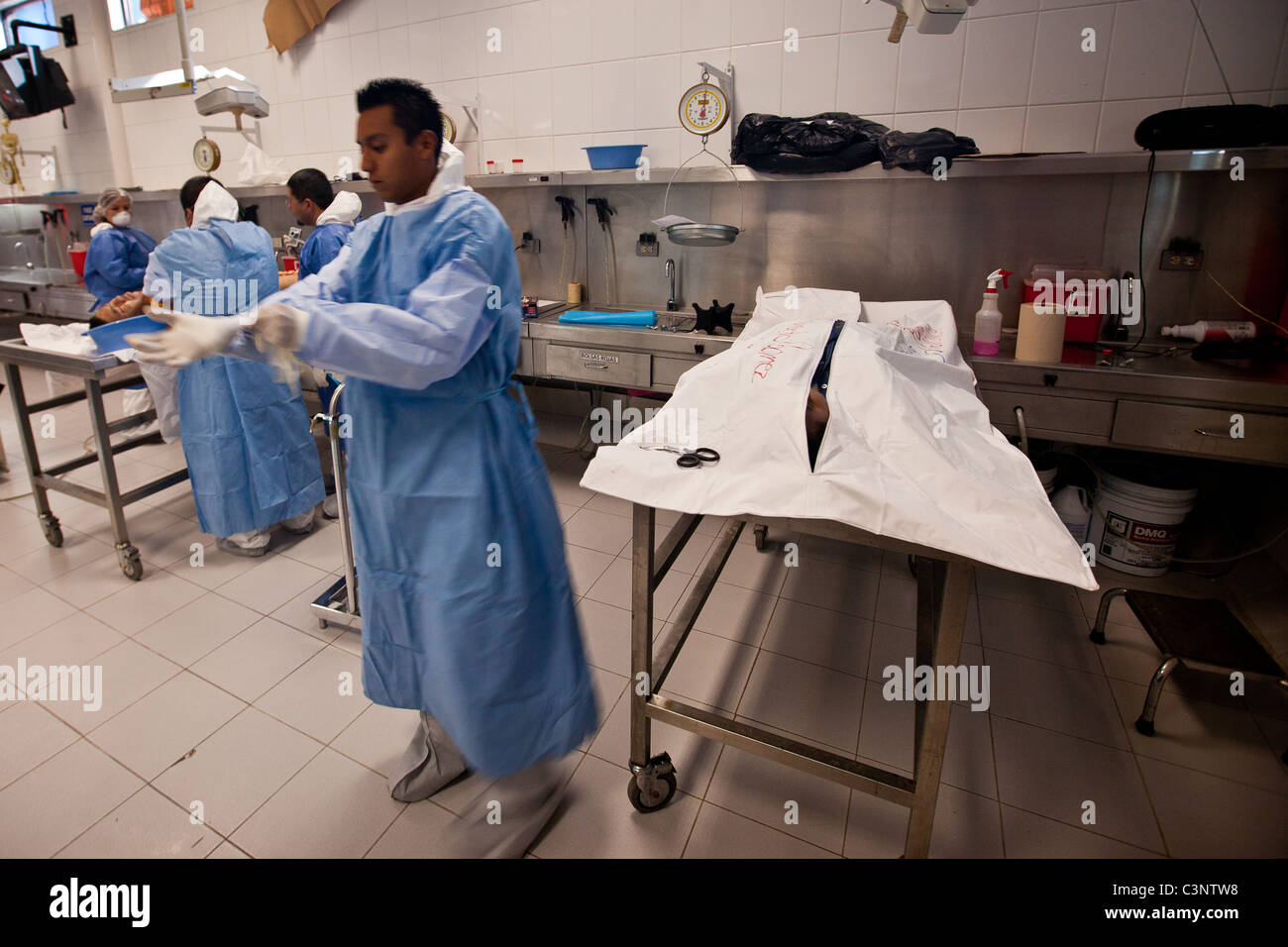 Forensic experts perform autopsies on victims of drug shootings and ...