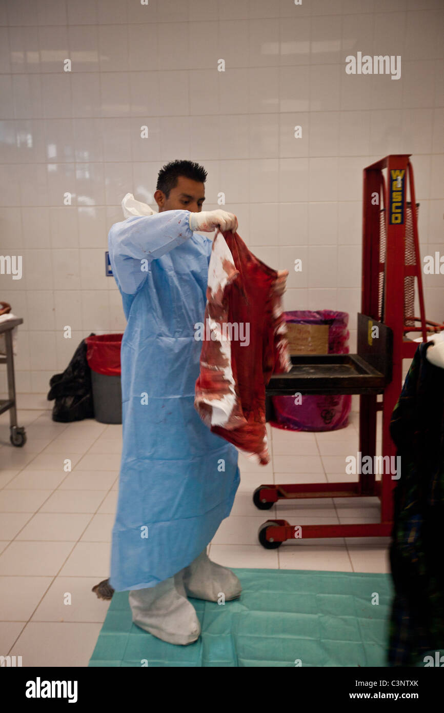 Blood soaked clothing hi-res stock photography and images - Alamy