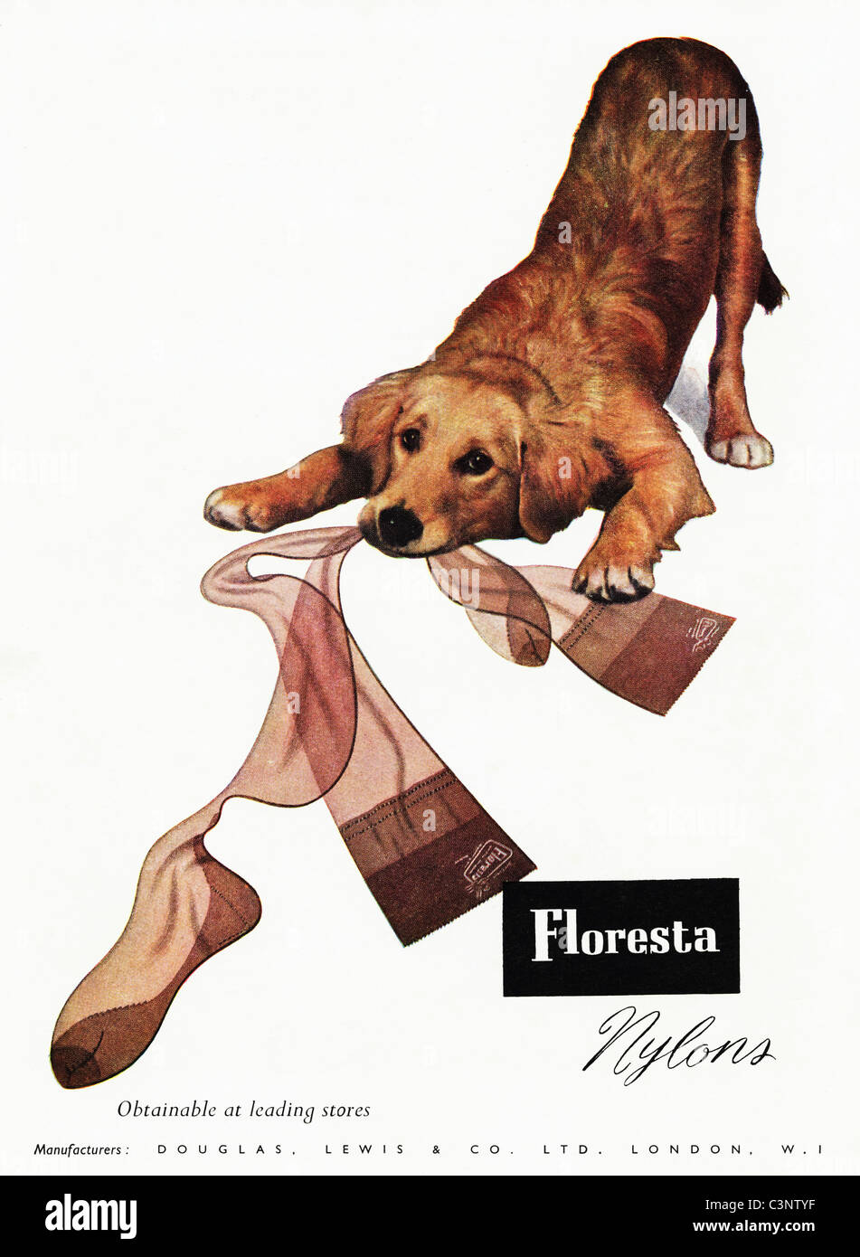 Nylon stockings 1950s hi-res stock photography and images - Alamy