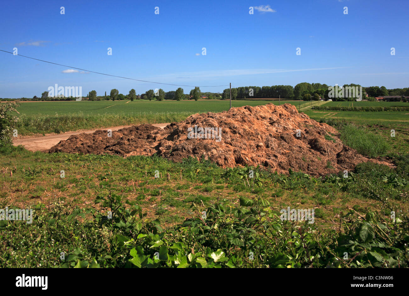 Manure heap hi-res stock photography and images - Alamy
